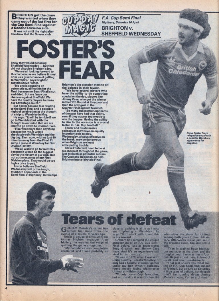 steve foster | The Goldstone Wrap