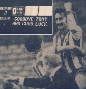 graham moseley | The Goldstone Wrap